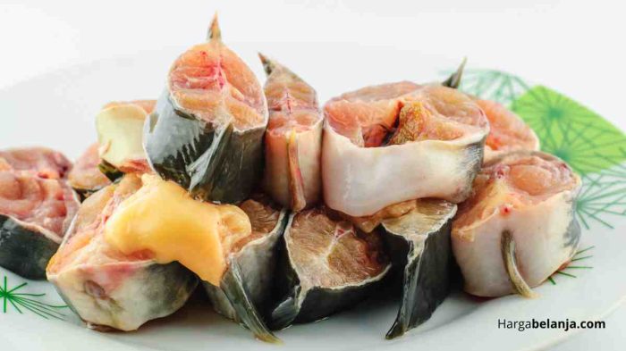 Cara Membuat Bakso Ikan yang Enak untuk Jualan – Harga Belanja