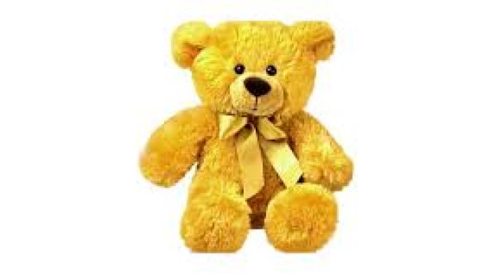 Harga Boneka Beruang Besar – Harga Belanja