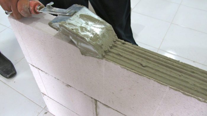 Harga Hebel Per Biji Beserta Jenisnya! – Harga Belanja