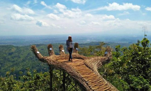 Harga Tiket Masuk Puncak Pinus Becici – Harga Belanja