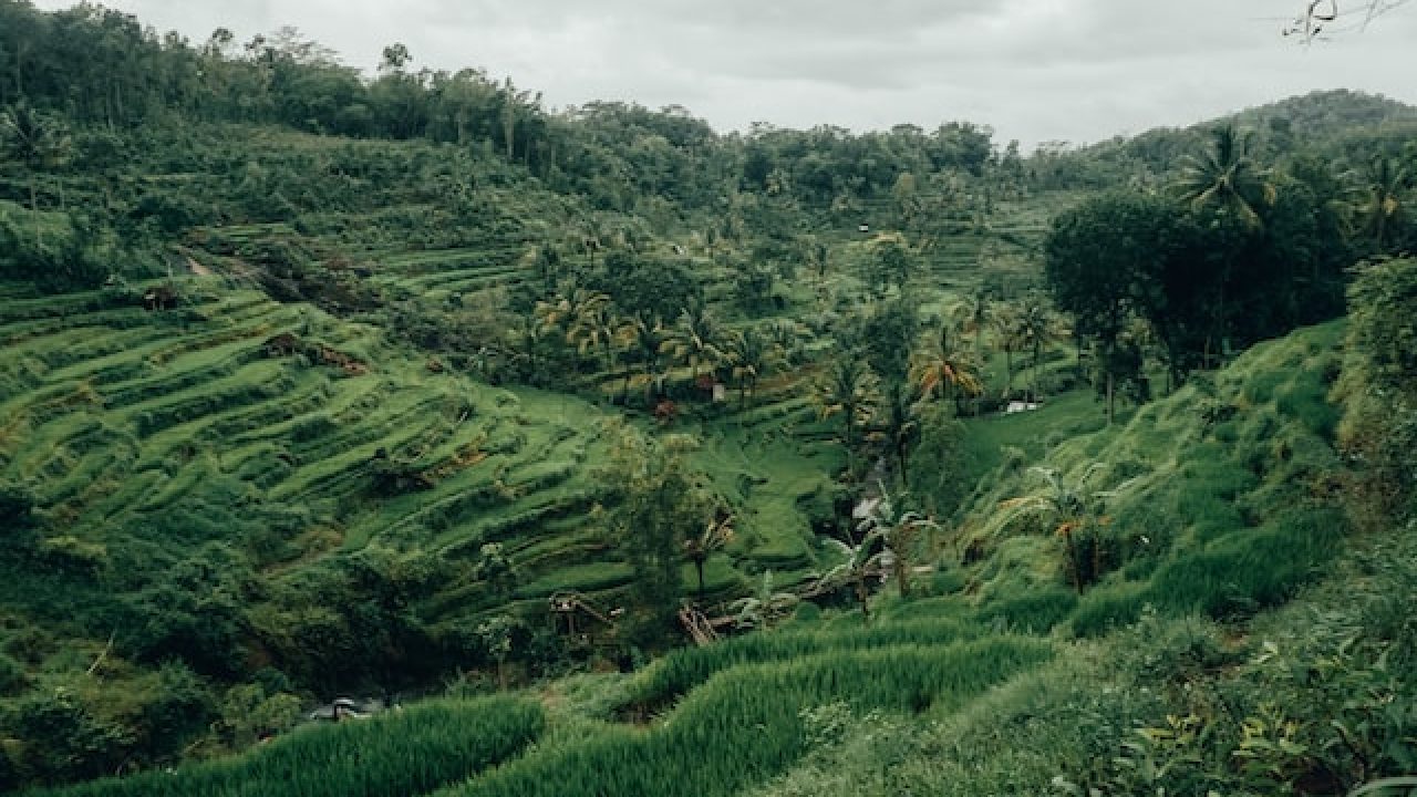 5 Wisata Klaten Dengan Pemandangan Indah – Harga Belanja