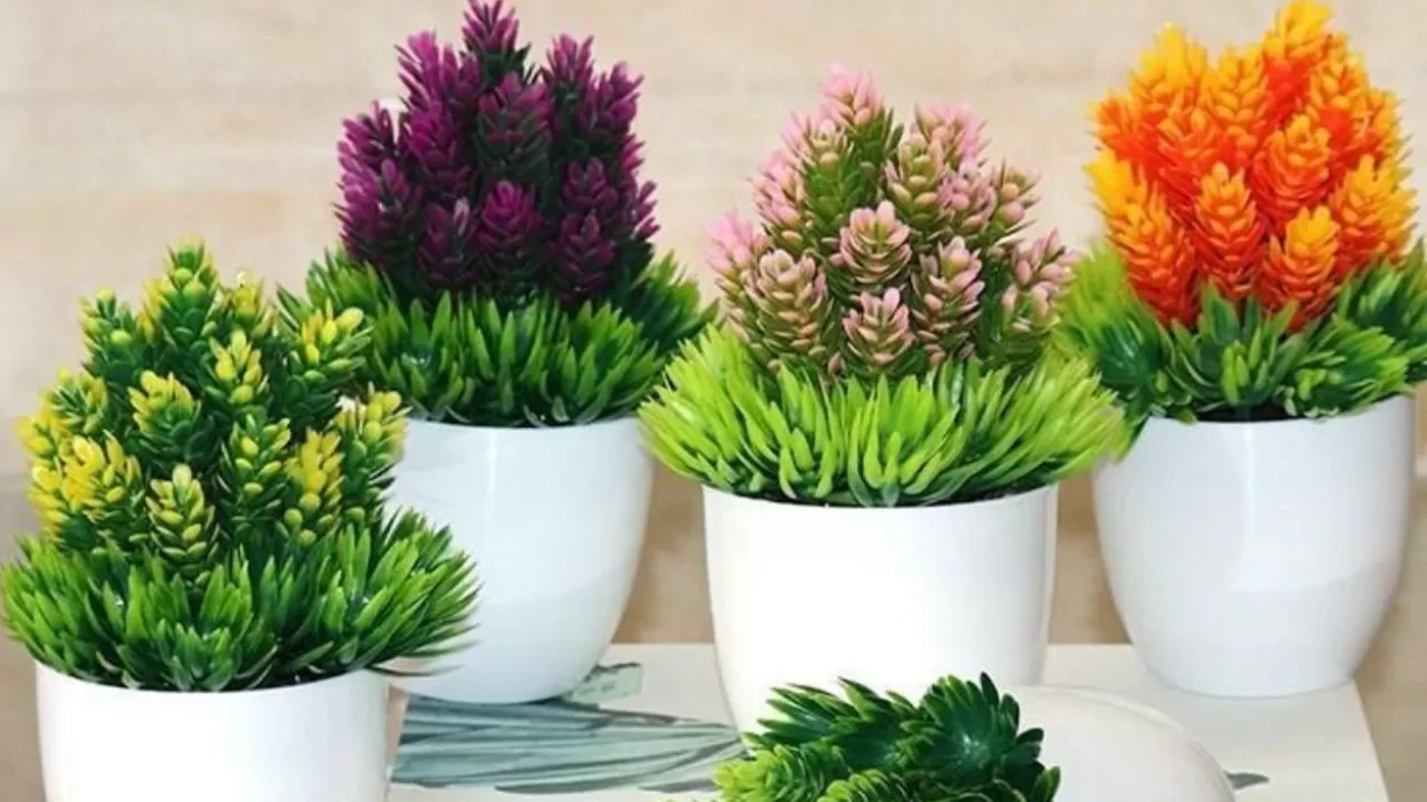 Bunga Asli atau Bunga Palsu? Berikut Hal yang Harus Dipertimbangkan ...